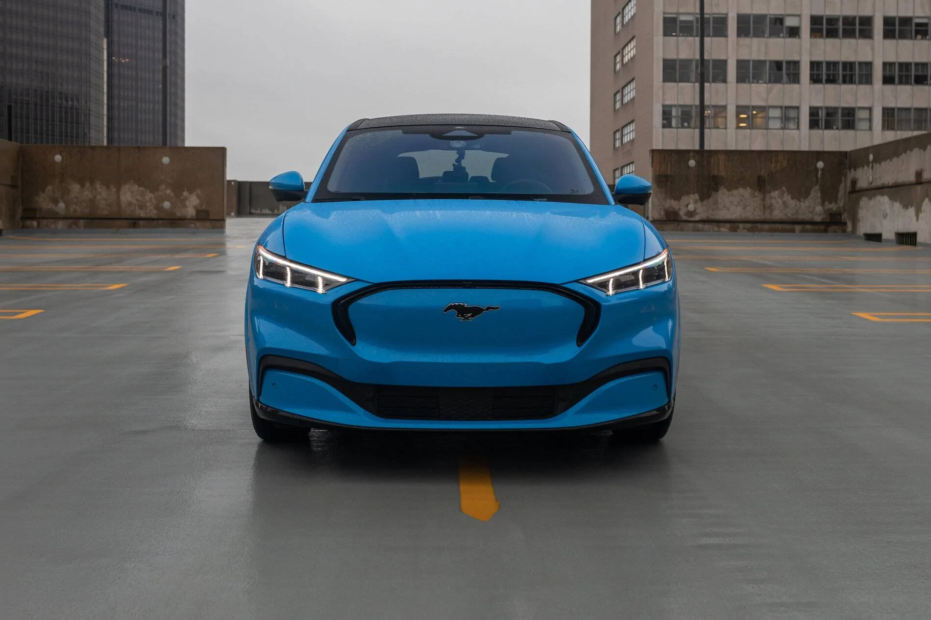 Shot Photo Gallery of Grabber Blue Mach-E 4x First Edition | MachEforum ...