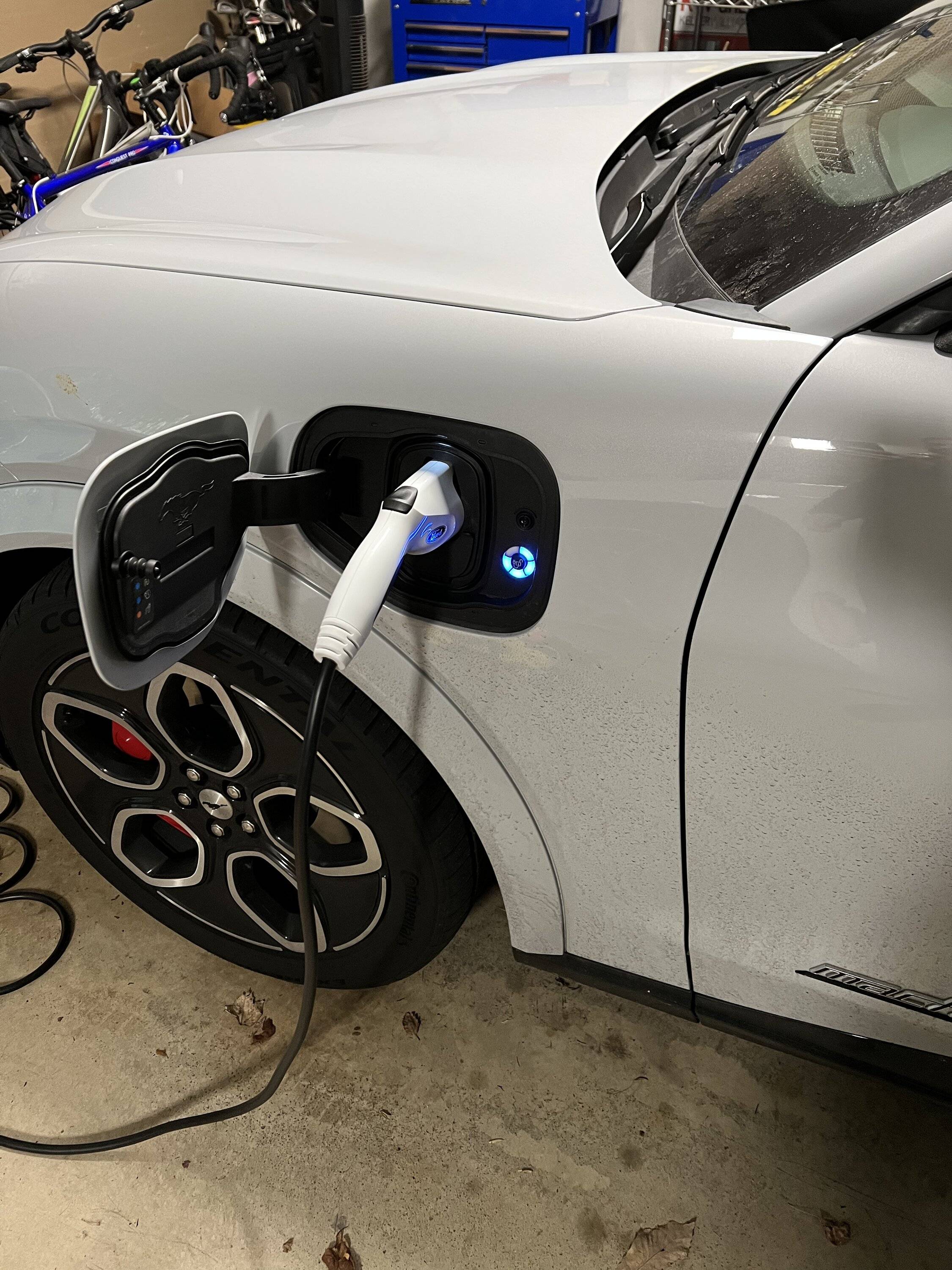 Mach-Lee's Cold Weather Charging Strategies | MachEforum - Ford Mustang ...