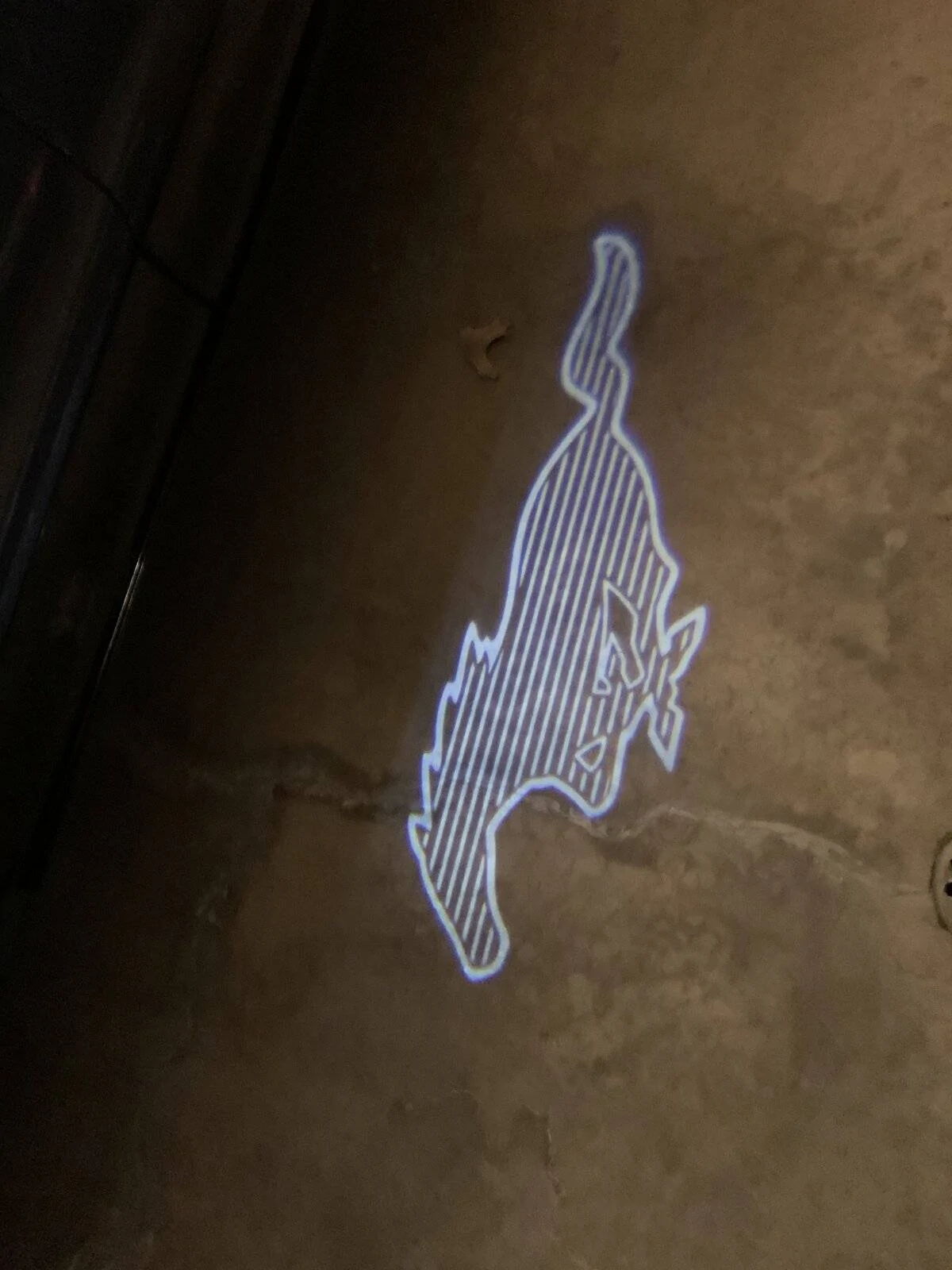 Puddle Lights | Page 6 | MachEforum - Ford Mustang Mach-E News, Owners ...