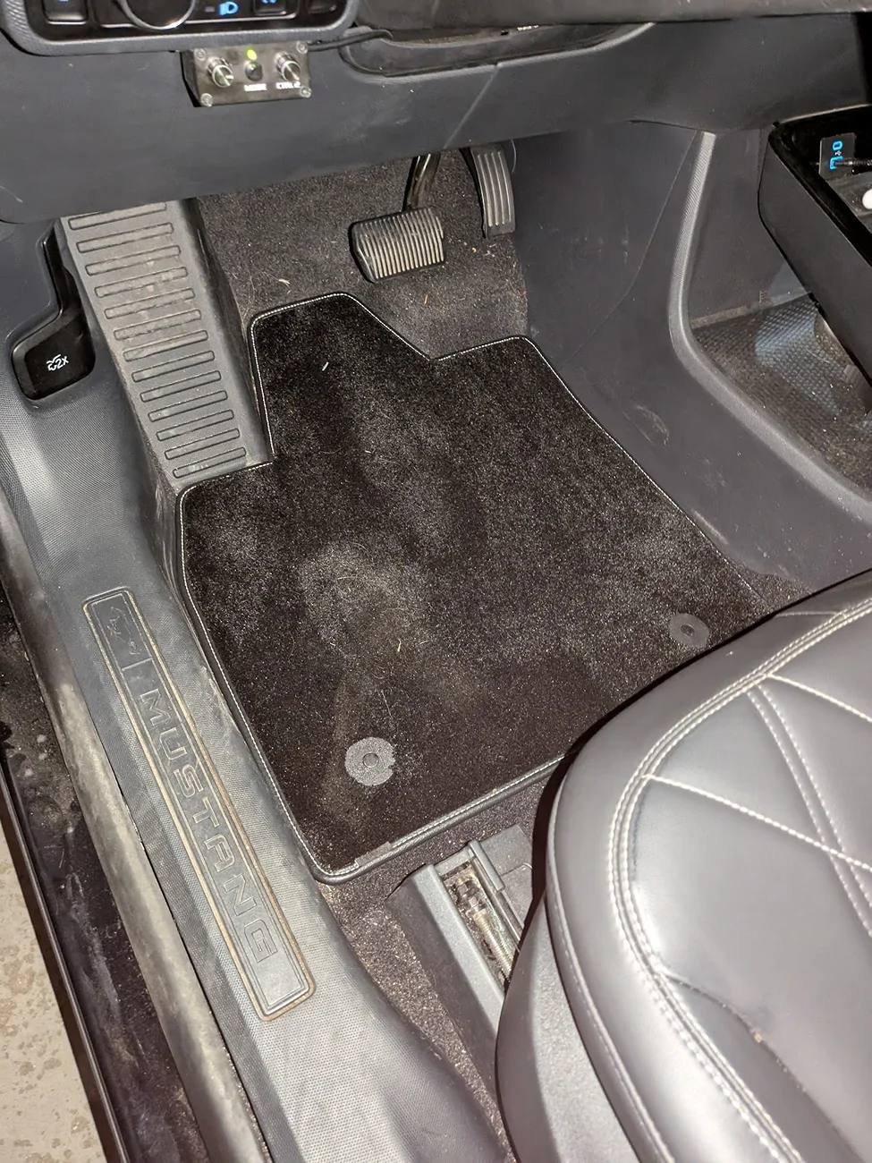 Does Interior Protection Package delete carpet mats | MachEforum - Ford ...