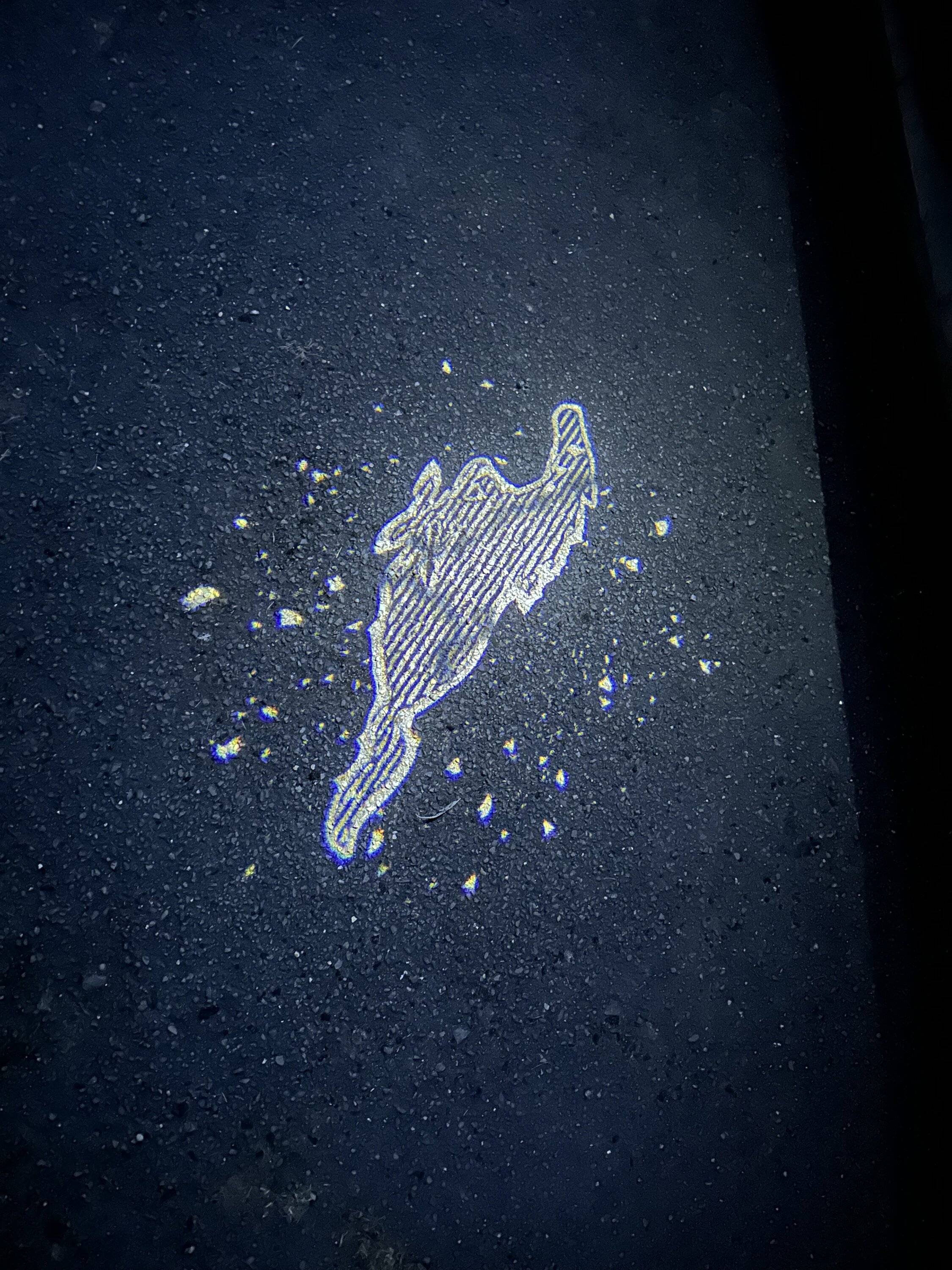 Puddle lights | Page 2 | MachEforum - Ford Mustang Mach-E News, Owners ...