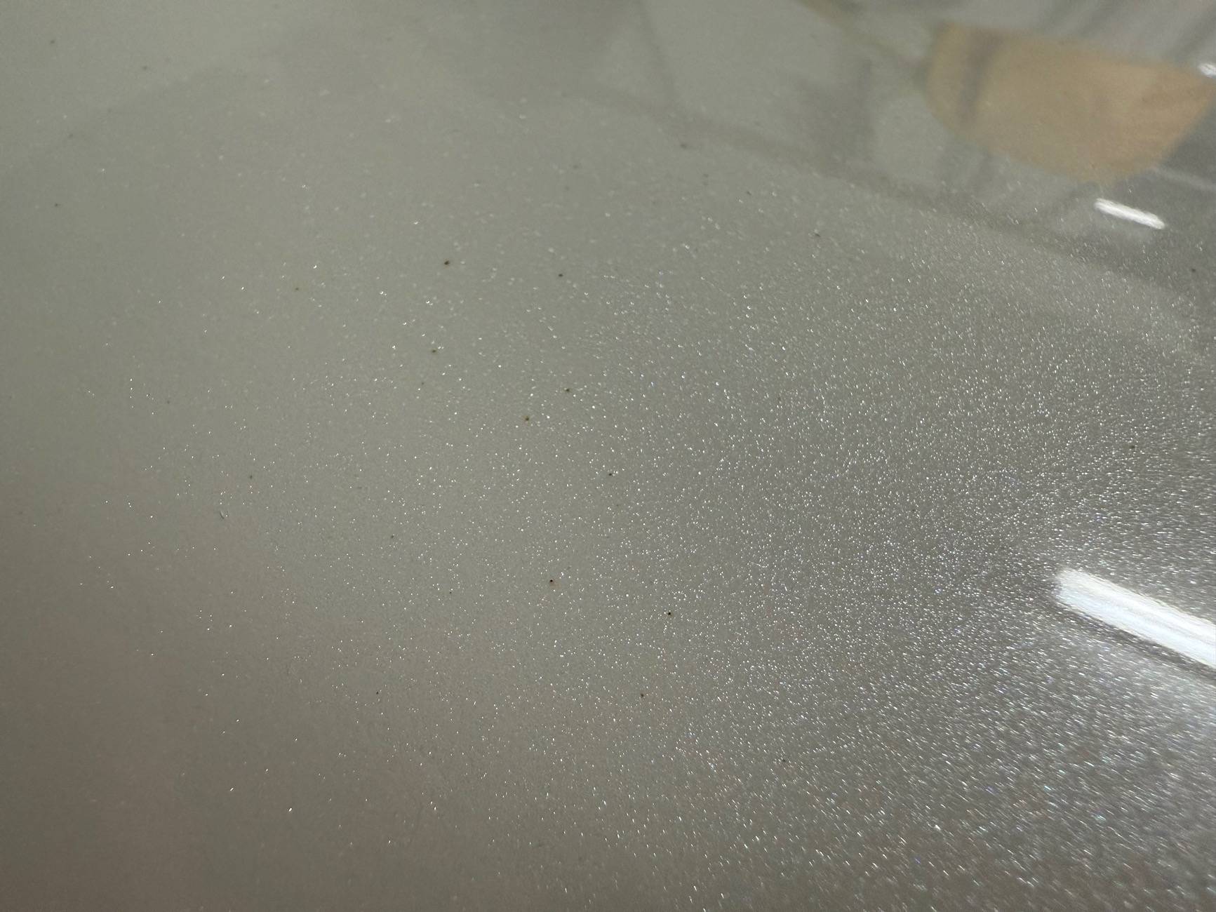 2 Months Old & Apparent Rust Spots on Hood | MachEforum - Ford Mustang ...