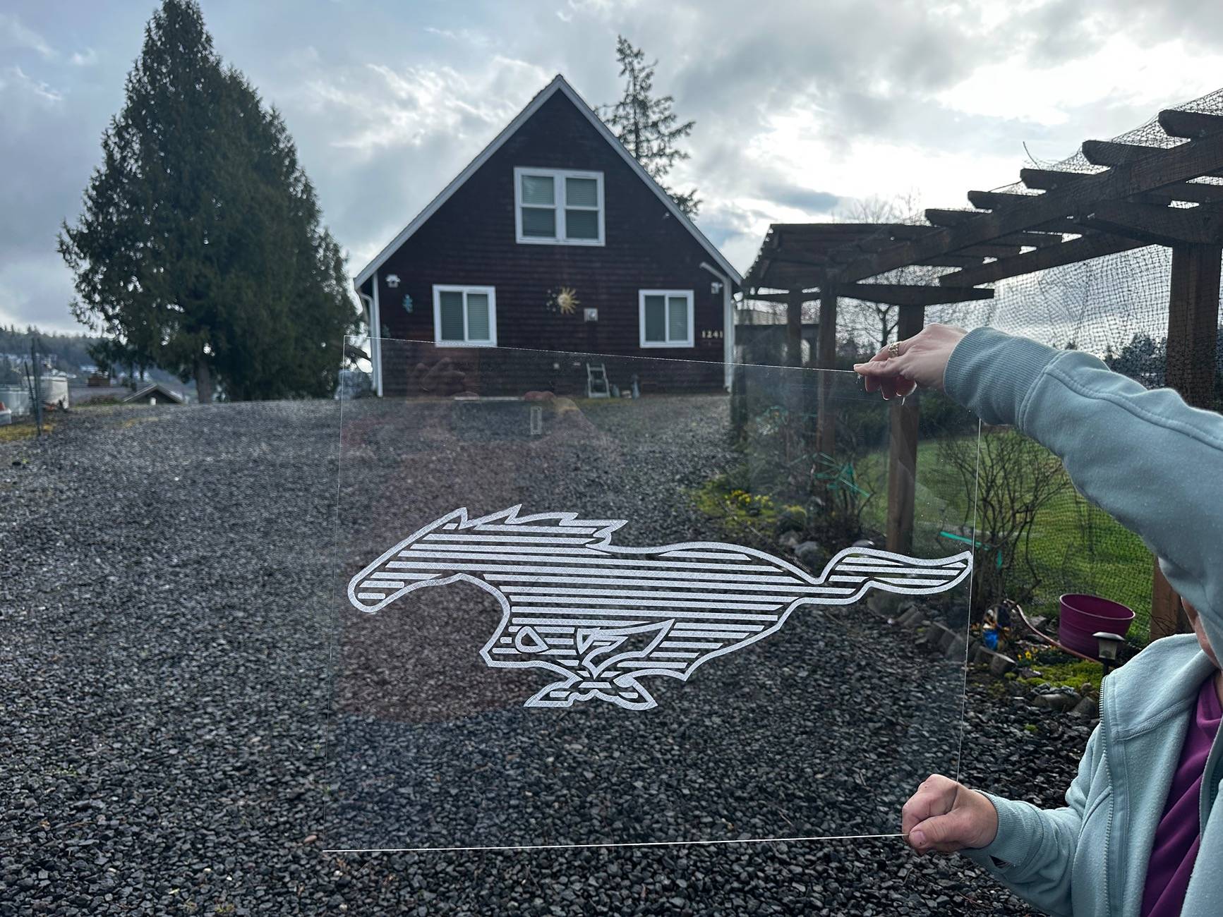 Mach E puddle light sign | MachEforum - Ford Mustang Mach-E News ...