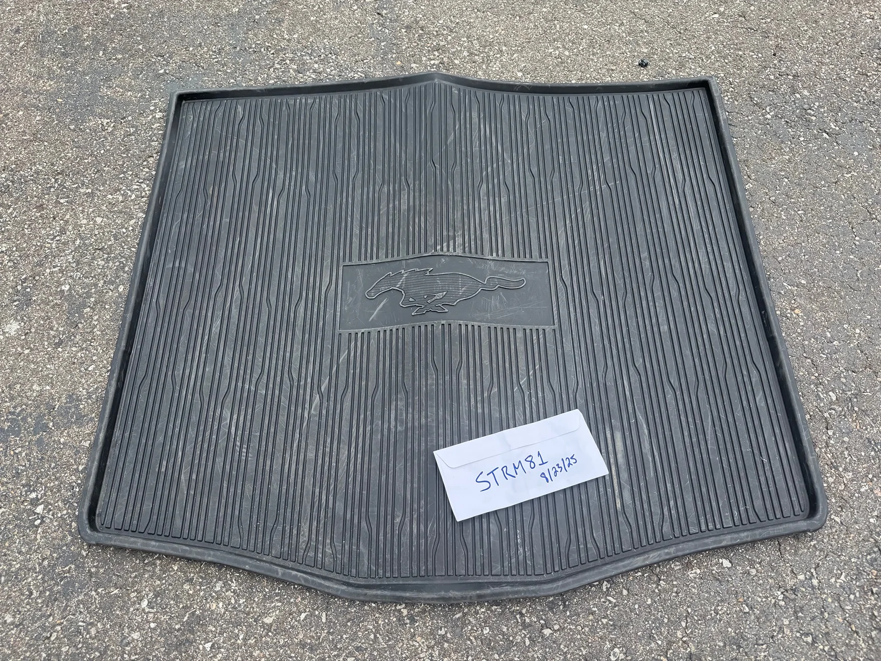 Michigan - Mach-E 2021-2025 Cargo Area Liner - $75 | MachEforum - Ford ...