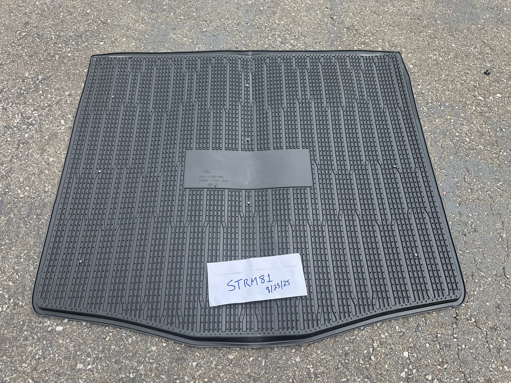 Michigan - Mach-E 2021-2025 Cargo Area Liner - $75 | MachEforum - Ford ...