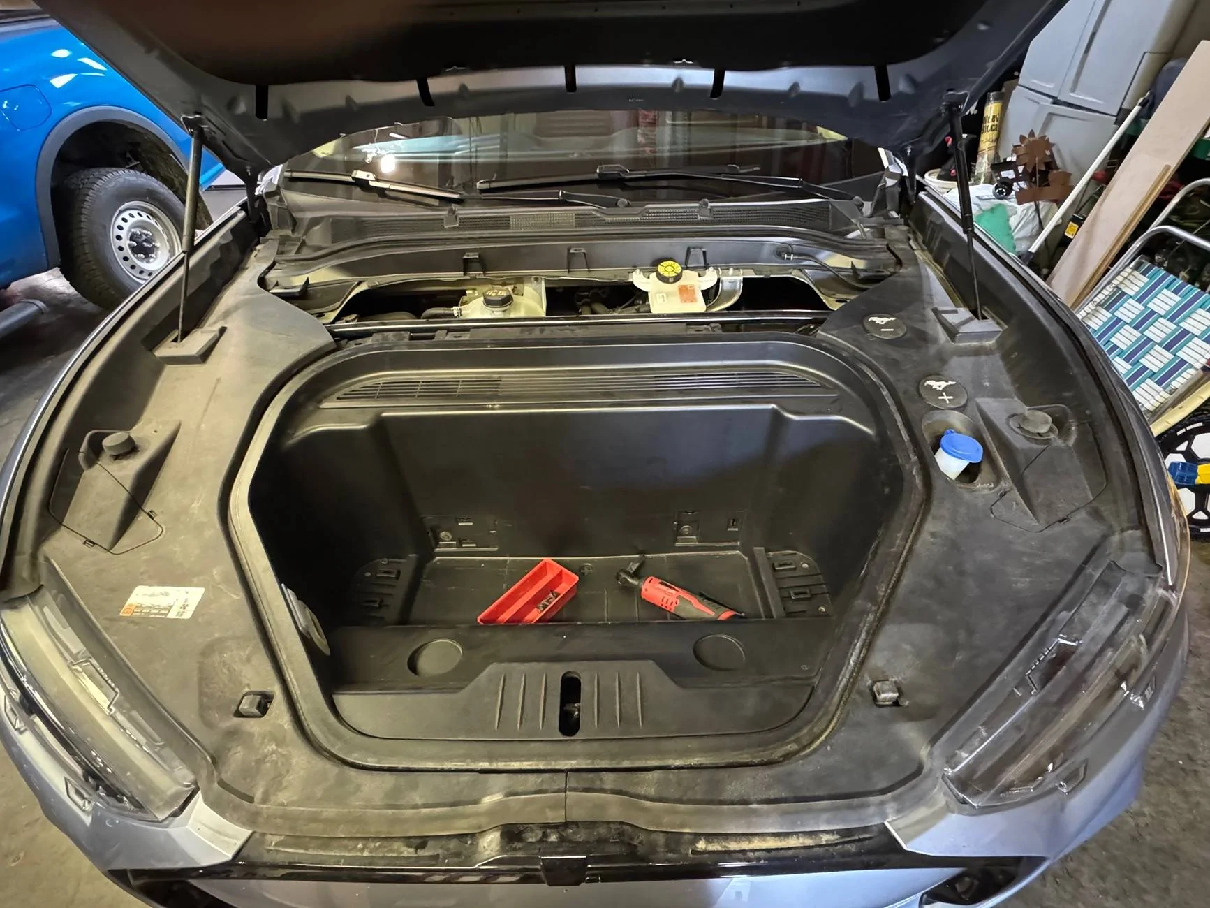 Replaced the 12V battery this weekend. | MachEforum - Ford Mustang Mach ...