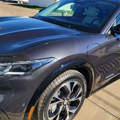 Has anyone seen a roof bug deflector? | MachEforum - Ford Mustang Mach ...