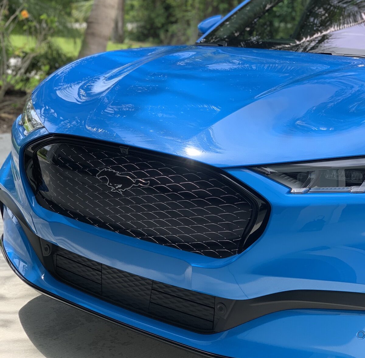 Vinyl Mock Grille - Grabber Blue First Edition | MachEforum - Ford ...