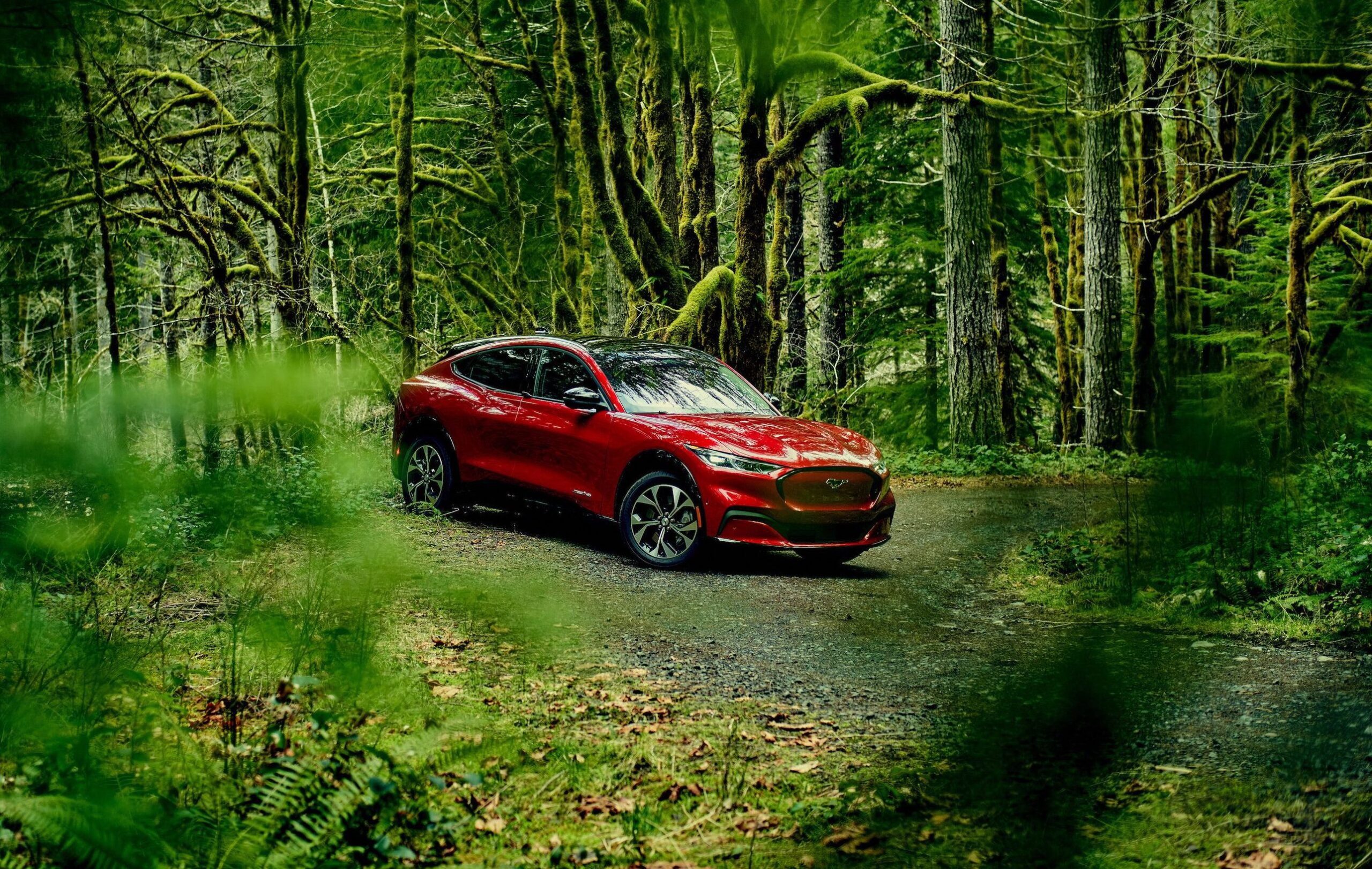 Road & Track on the Mach-E: only the C8 Corvette attracts as much ...