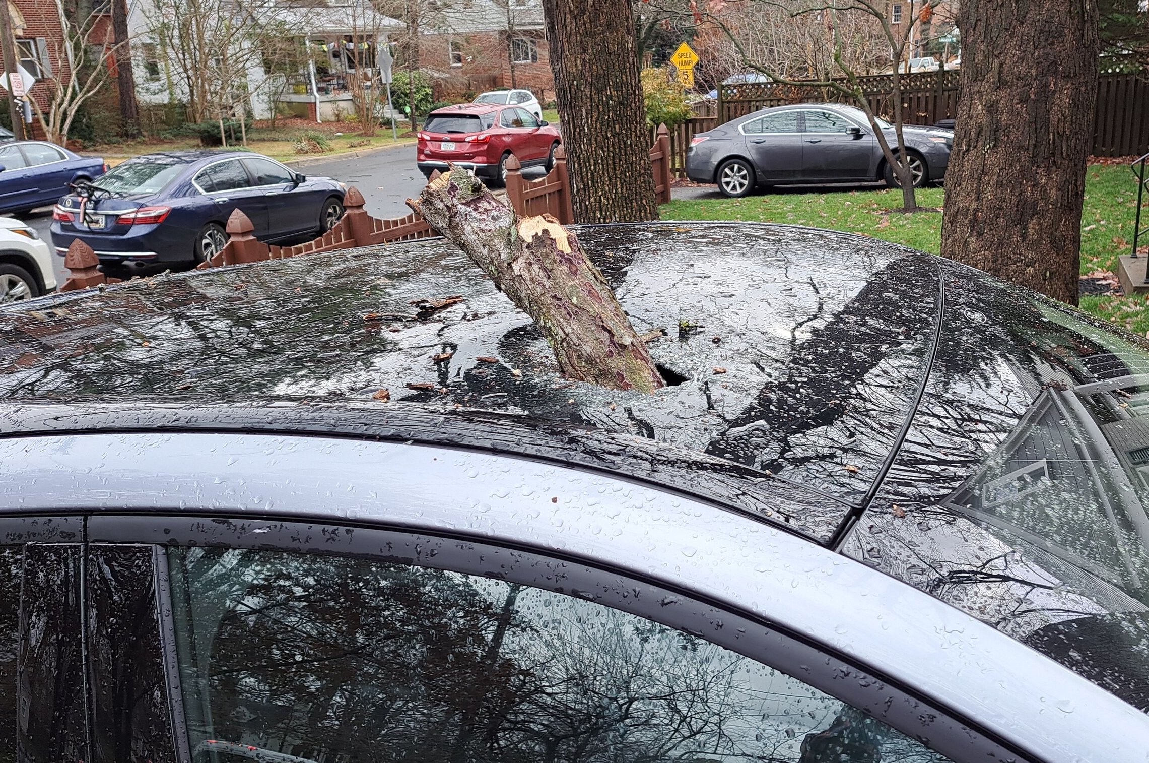 Glass roof replacement (arrrgh!) Smashed by tree limb | MachEforum ...