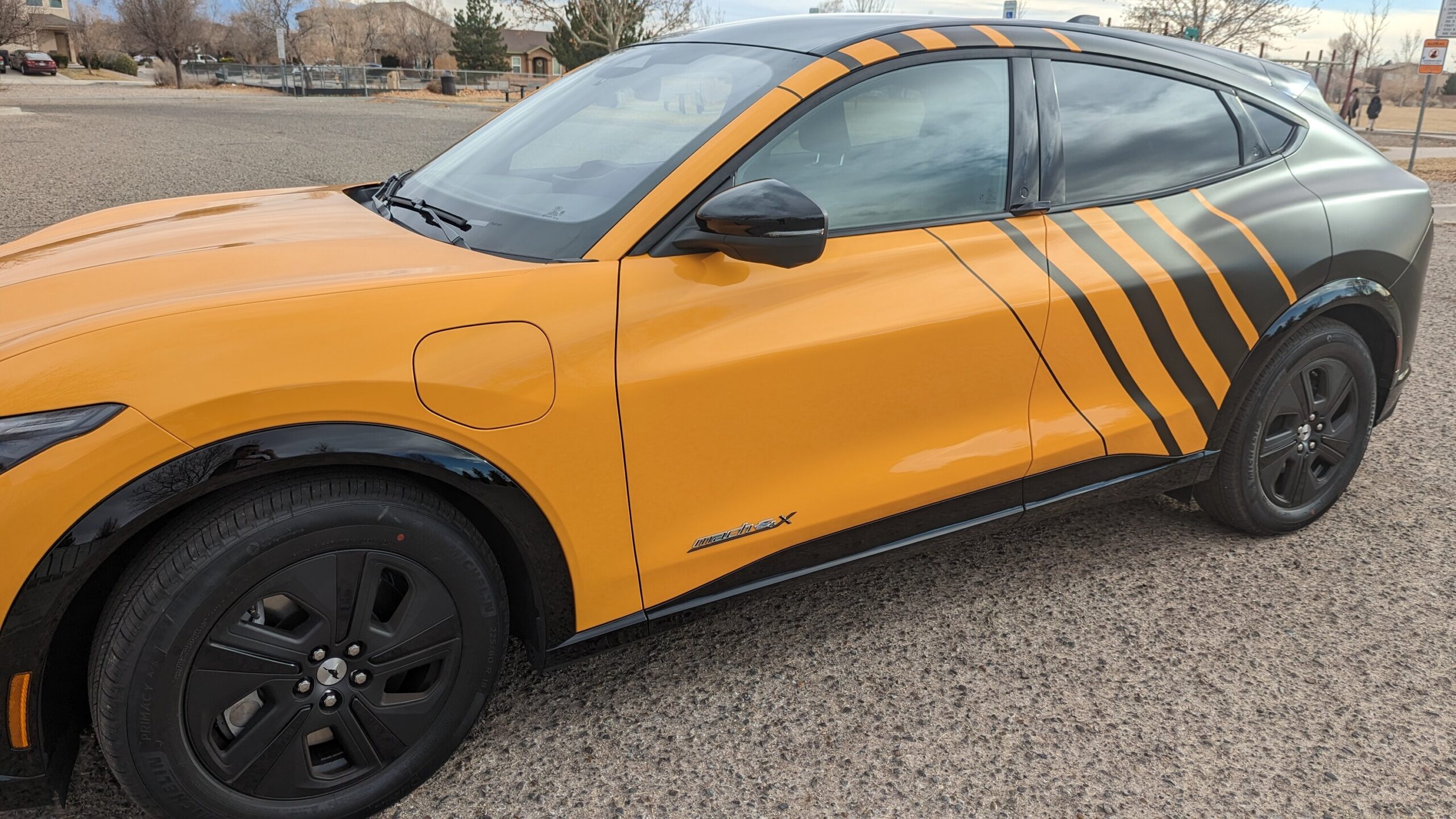 Toki got new stripes today | MachEforum - Ford Mustang Mach-E News ...