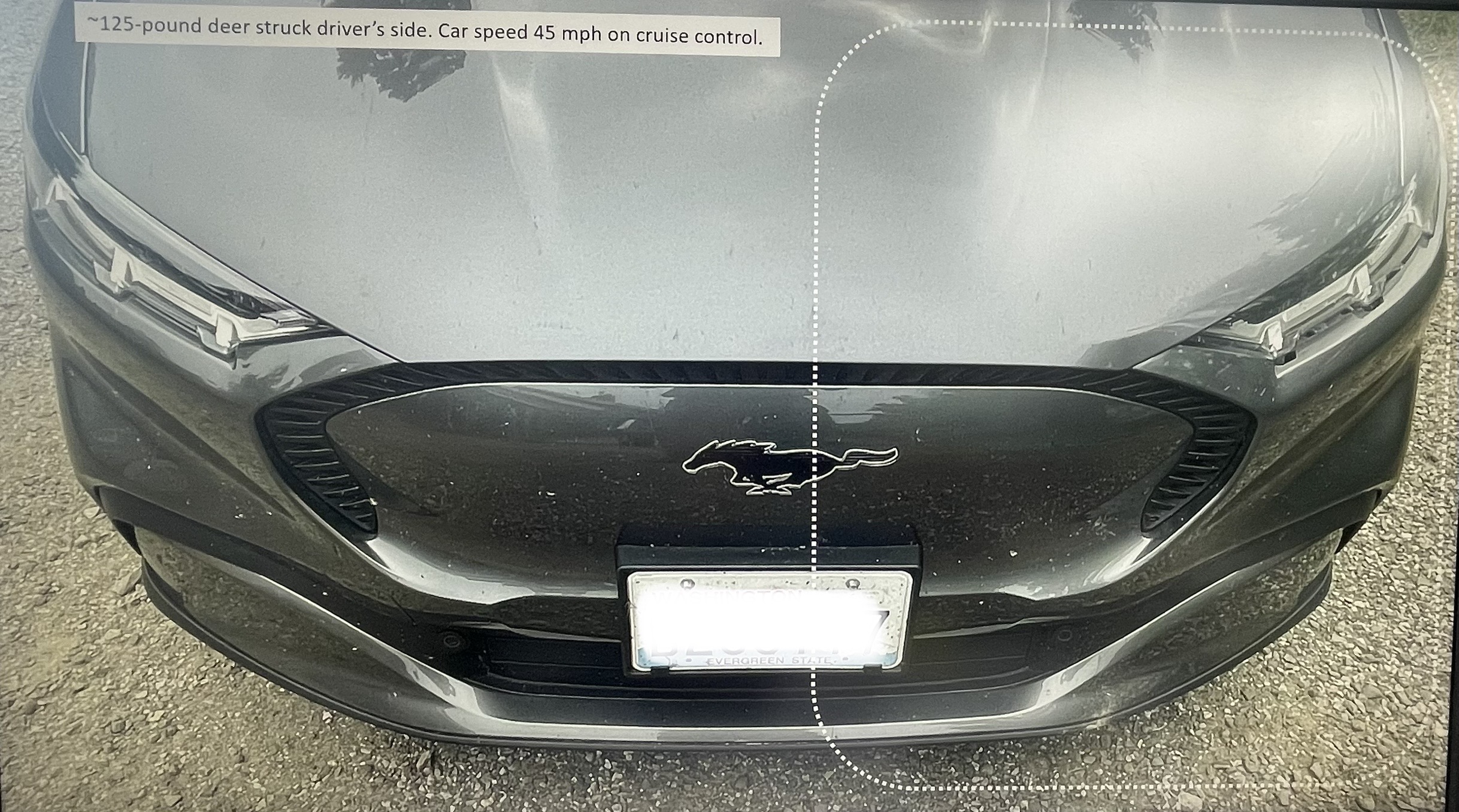 $8,000 damage deer strike pics. It’ll blow your mind. That’s it ...