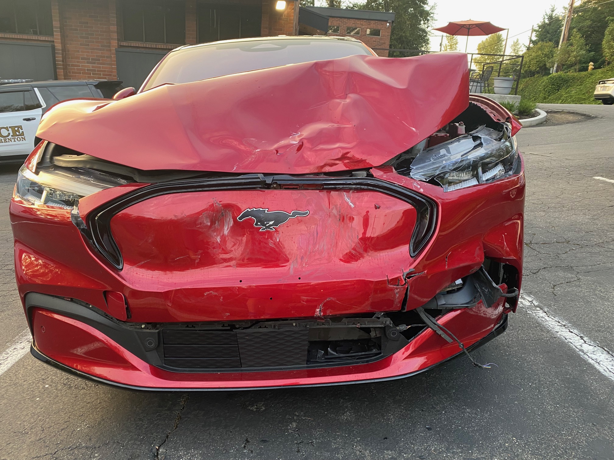 Goodbye 1st Edition, Hello Mediocrity | MachEforum - Ford Mustang Mach ...