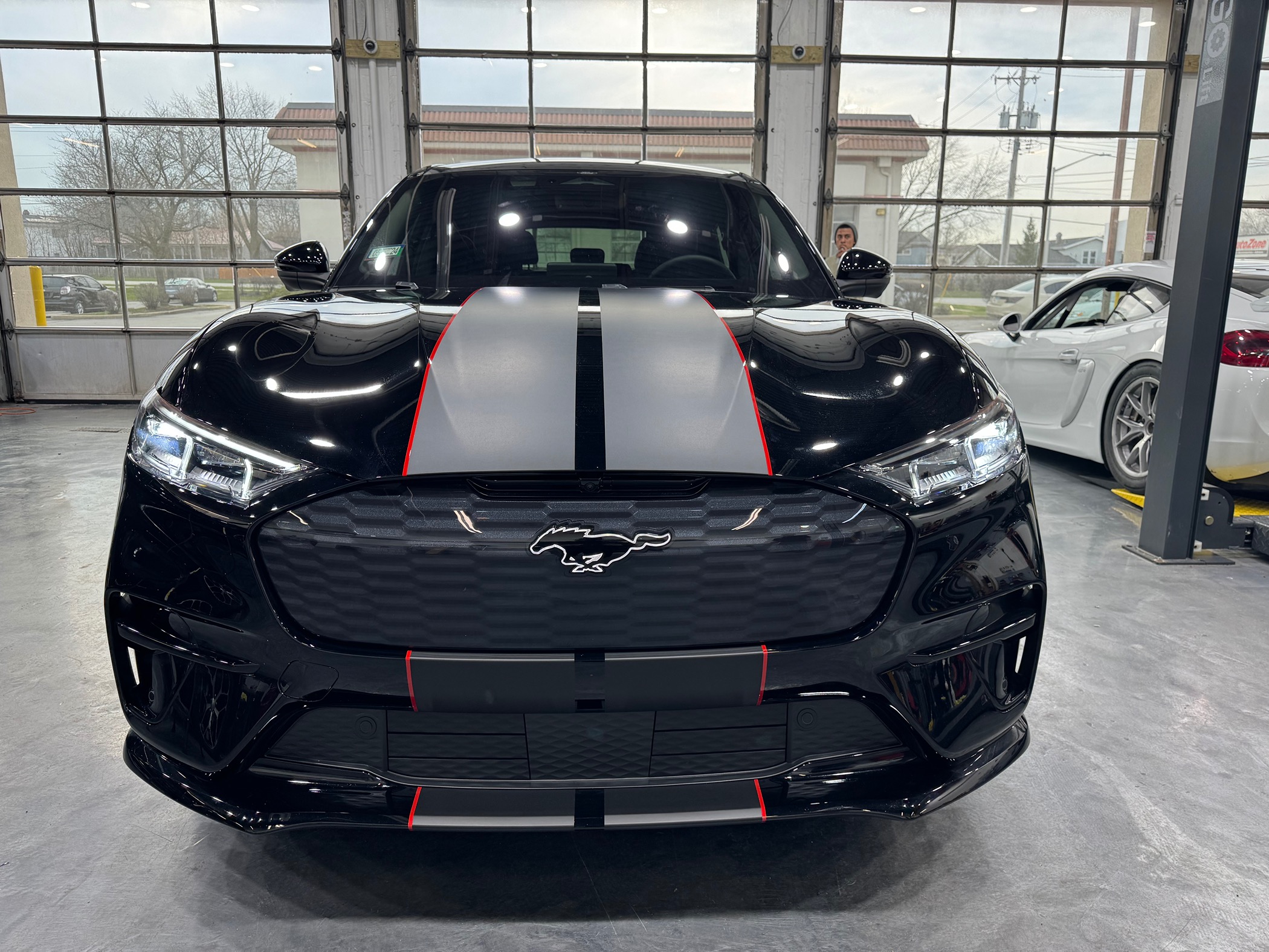 Spring has sprung…it’s time to let the ponies out of the barn wearing ...