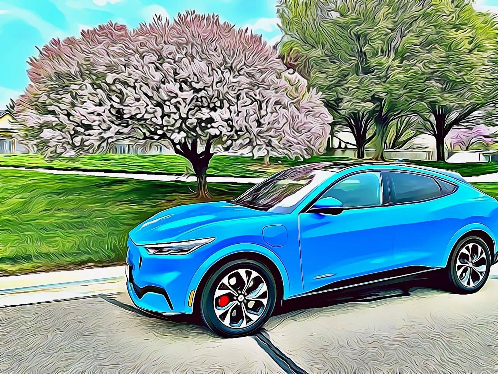 Show us your Mach-E and BSKT Design will make it in animated style ...